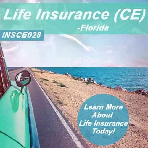 15 hr All Lines CE, Overview of the Life Insurance Industry